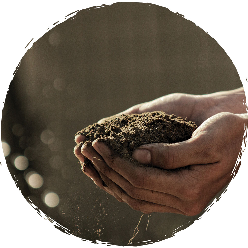 More Info - NatureWhole